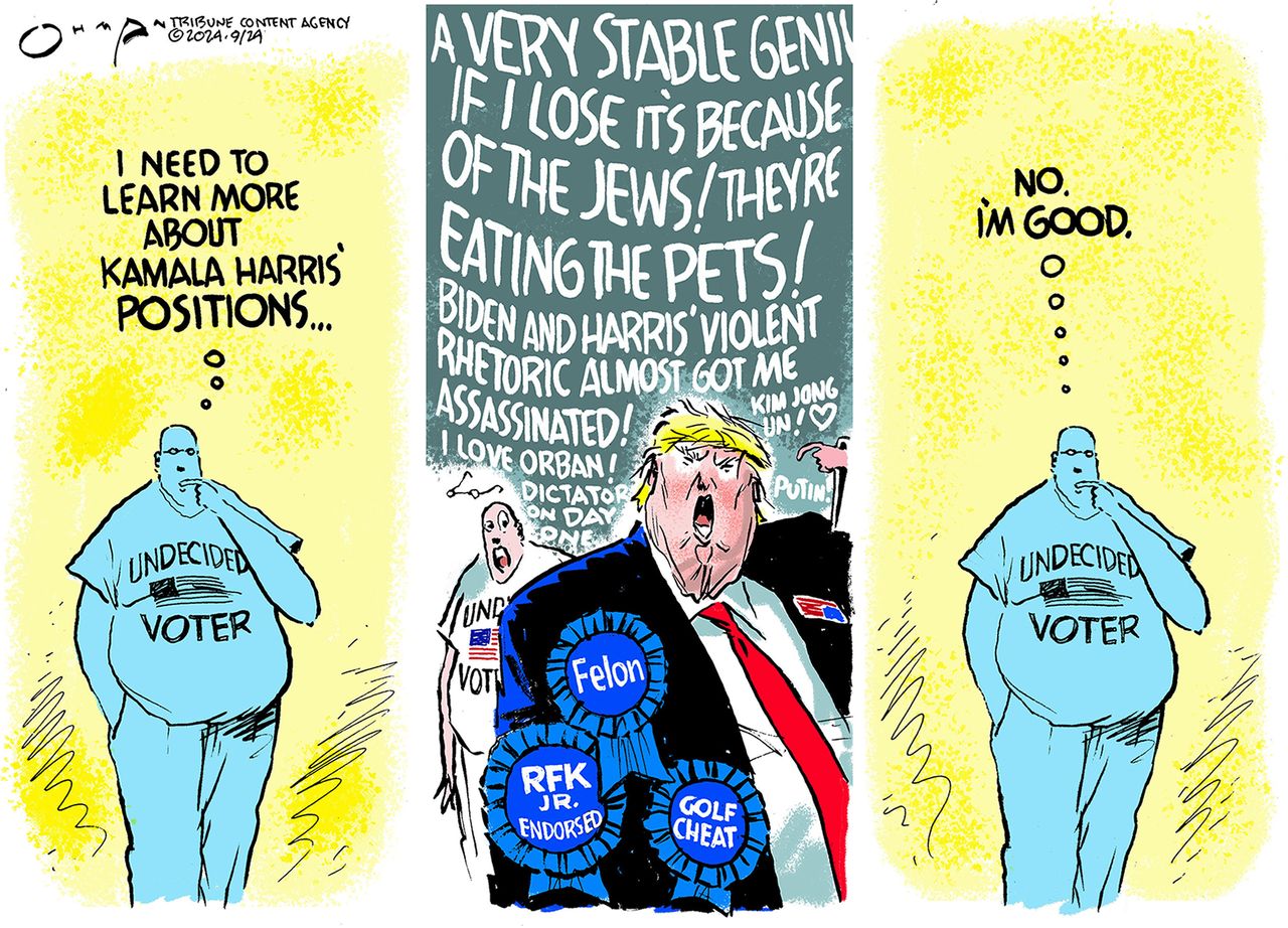 5 fence-sitting cartoons about undecided voters | The Week