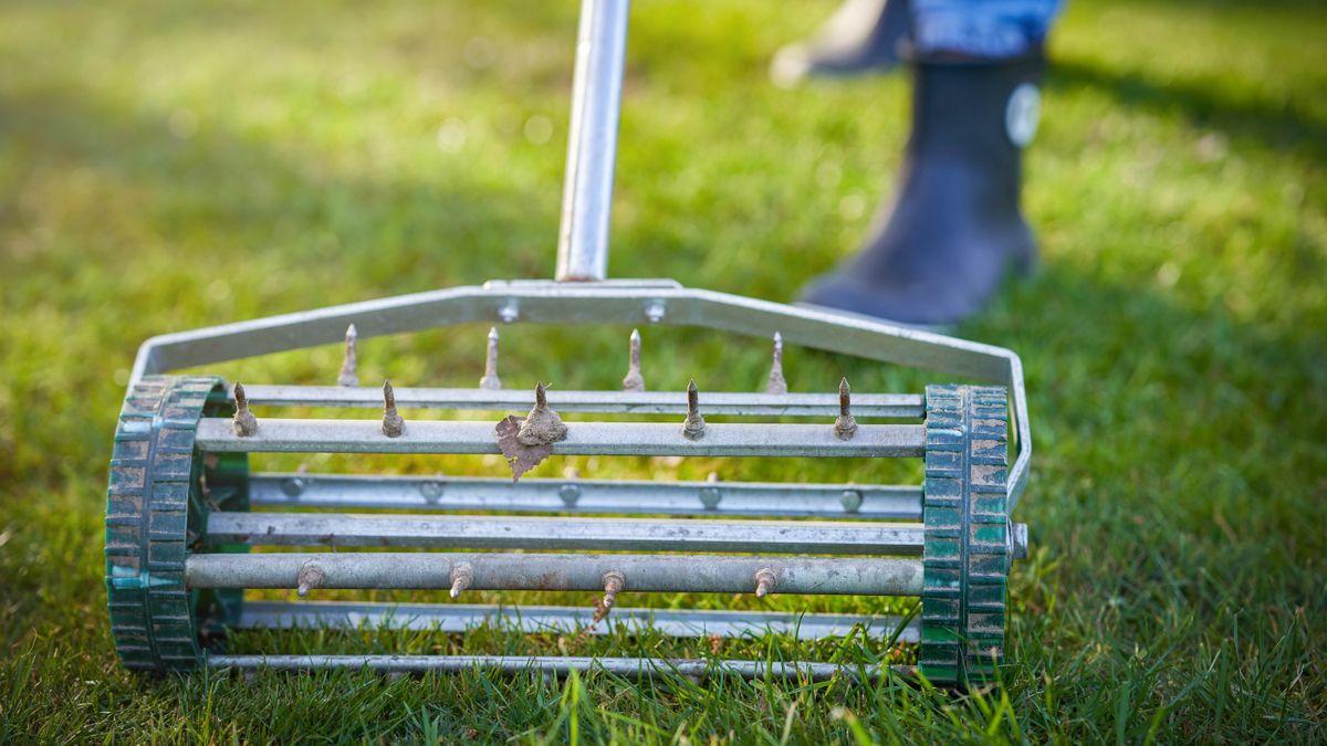 Is it bad to water your lawn at night? Here’s what the experts say ...