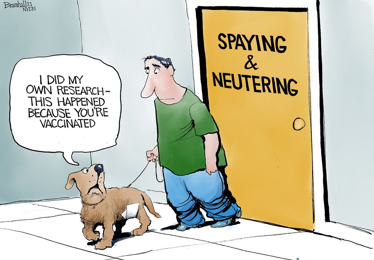 Spayed/neutered | The Week