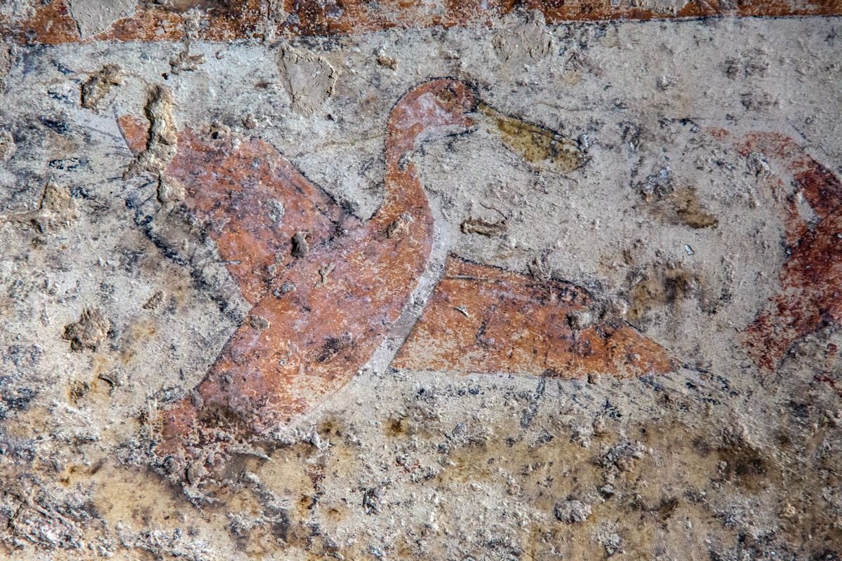 In Photos: Ancient Egyptian Tombs Decorated with Creatures | Live Science