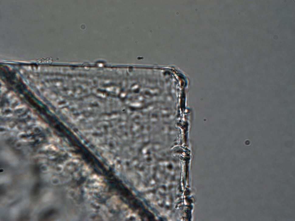 NASA's Stardust Mission Brings Cosmic Dust to Earth (Photos) | Space