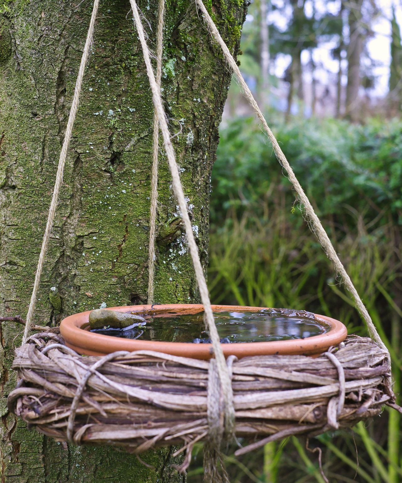 How to make a bird bath in a few simple steps | Homes and Gardens