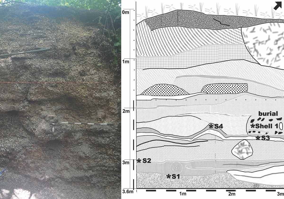 'Ripped' Woman with Massive Forearms Is the Oldest Known Human Burial ...