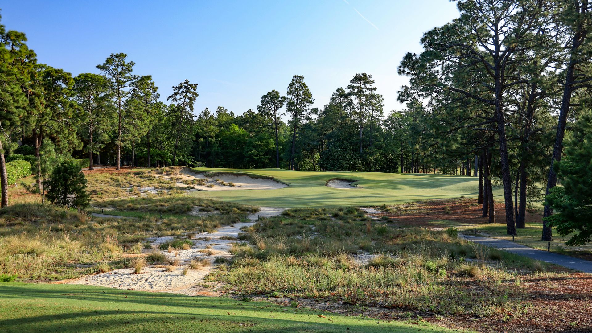 Donald Ross: The Man Behind US Open Venue Pinehurst No.2 | Golf Monthly