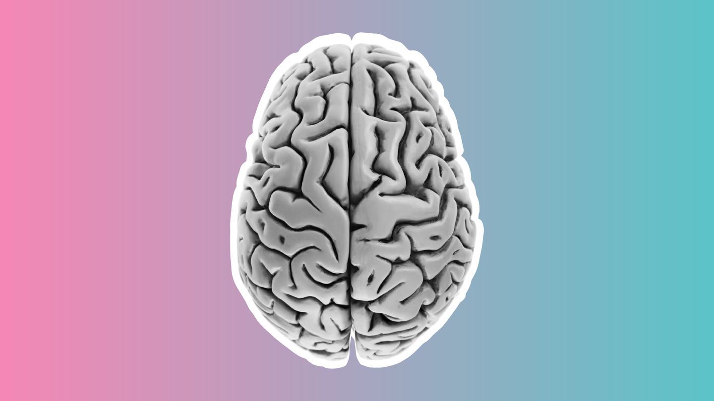 Is there really a difference between male and female brains? Emerging ...