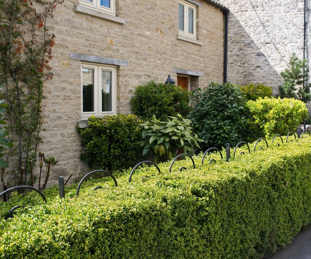 Living fence ideas: 5 ways to bring your boundary to life | Homes and ...
