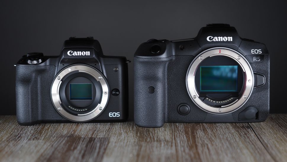 The best Canon camera in 2024 | Digital Camera World