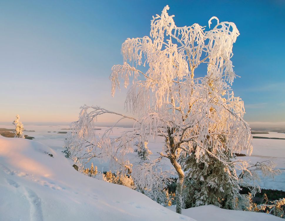Winter Wonderland: Images of Stunning Snowy Landscapes | Live Science