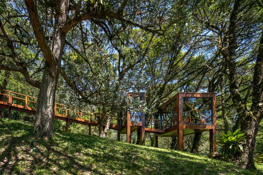 Brazilian treehouse is inspired by woods | Wallpaper*