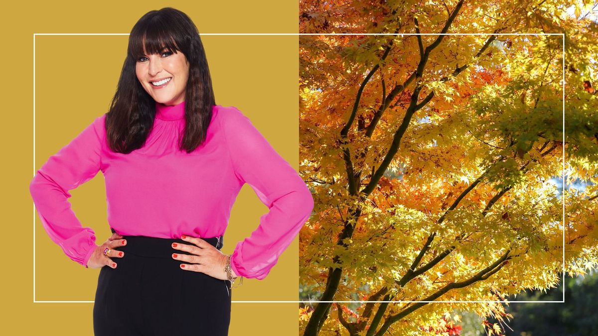 How to resolve a tree dispute with a neighbour: expert advice | Woman ...
