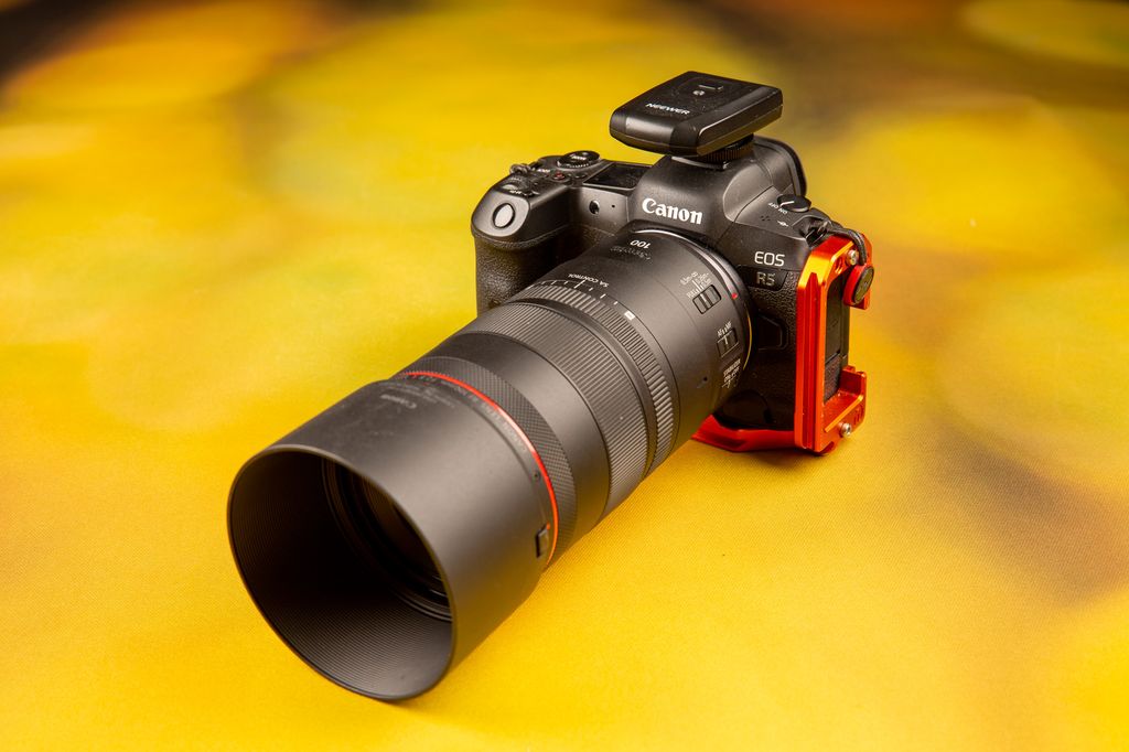 10 tips for superb close-ups: how to shoot macro with studio lighting ...