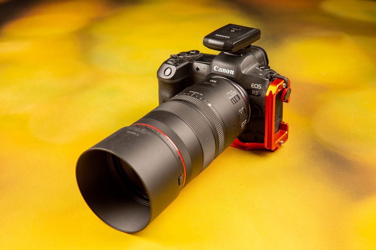 10 tips for superb close-ups: how to shoot macro with studio lighting ...