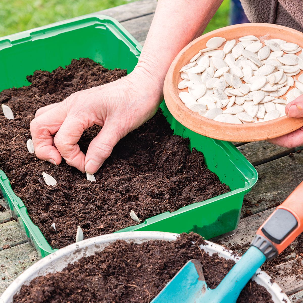 How Deep To Plant Seeds? One Tip To Get It Right Every Time | Gardening ...