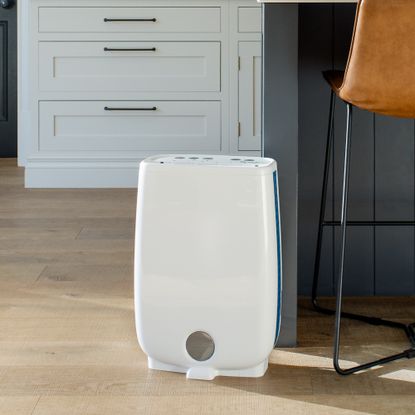 How to choose a dehumidifier for the kitchen: expert tips | Ideal Home