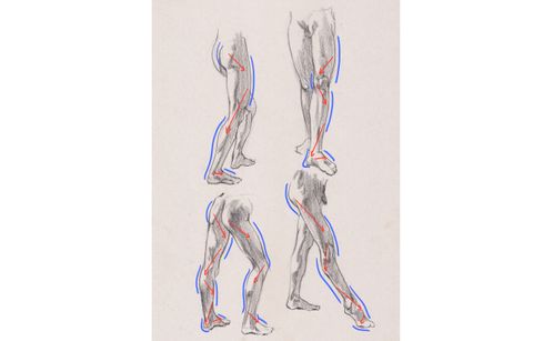 How to draw legs | Creative Bloq
