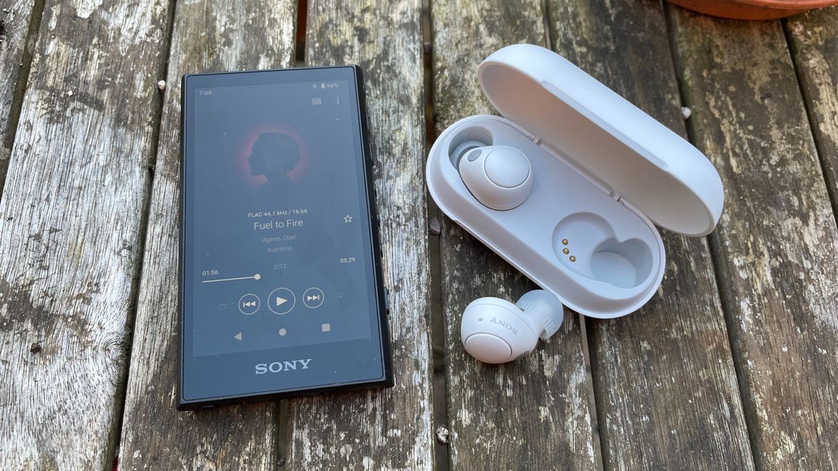 Sony NW-A306 review: an affordable Walkman that's appealing and ...