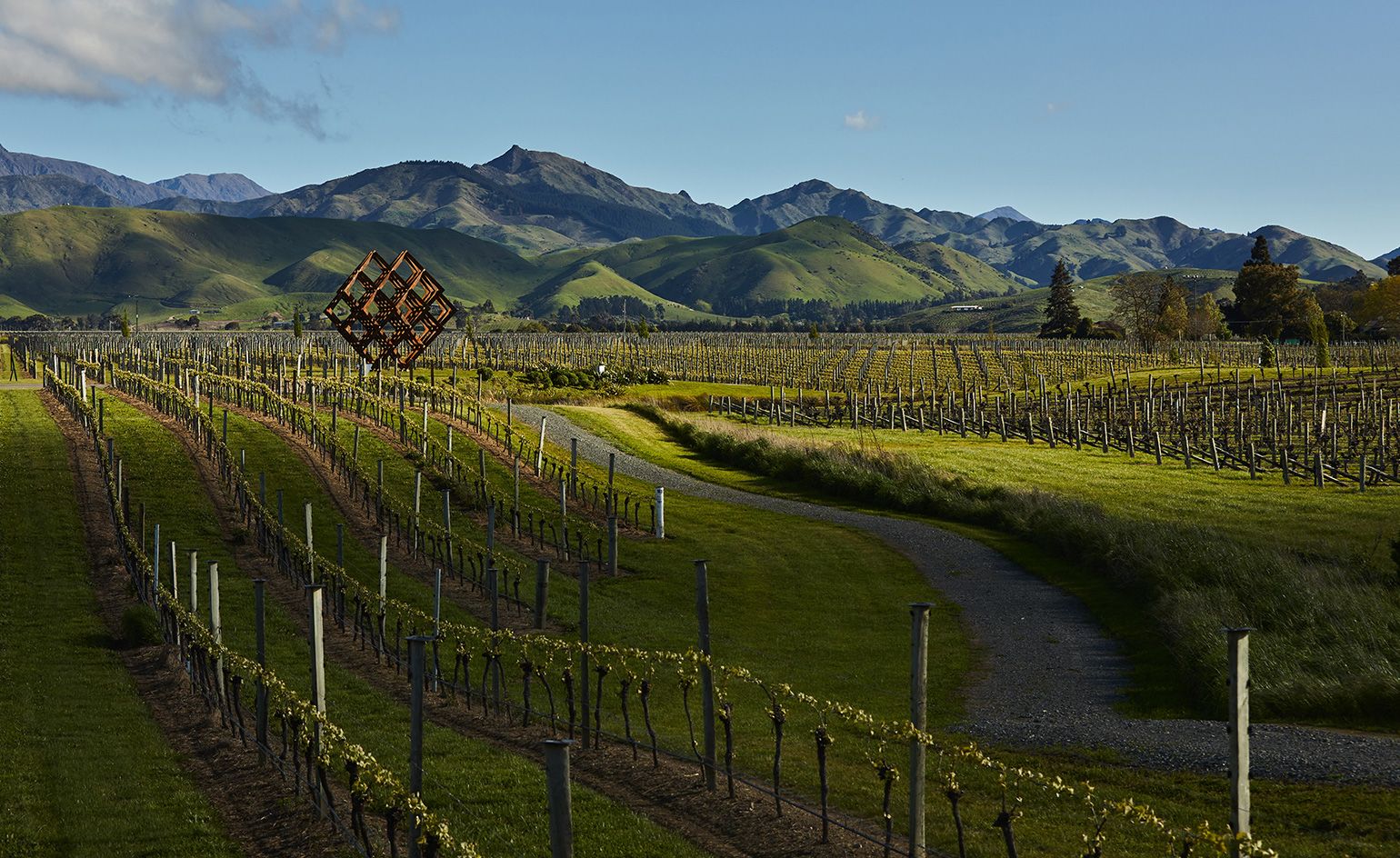 Studio Dror sculpture unveiled at Brancott Estate vineyards | Wallpaper