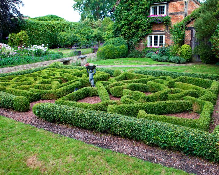 Landscaping with evergreens: 9 ways to use in garden design | Homes and ...