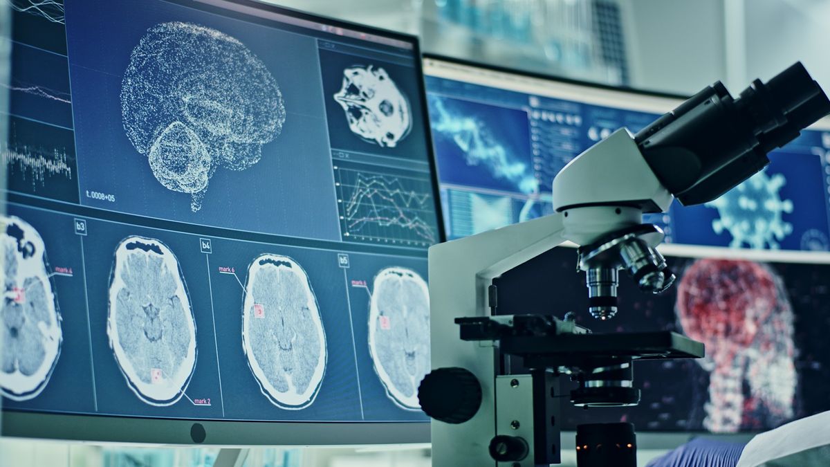 Top 10 things that make humans special | Live Science