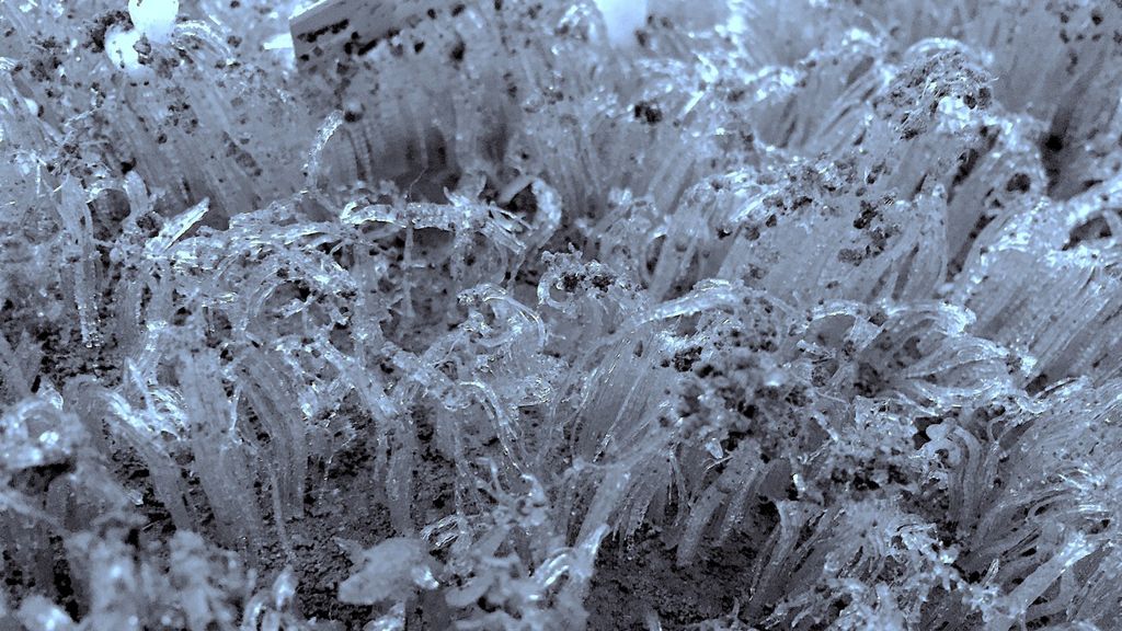 Thousands of tiny ‘ice needles’ may explain mysterious stone patterns ...