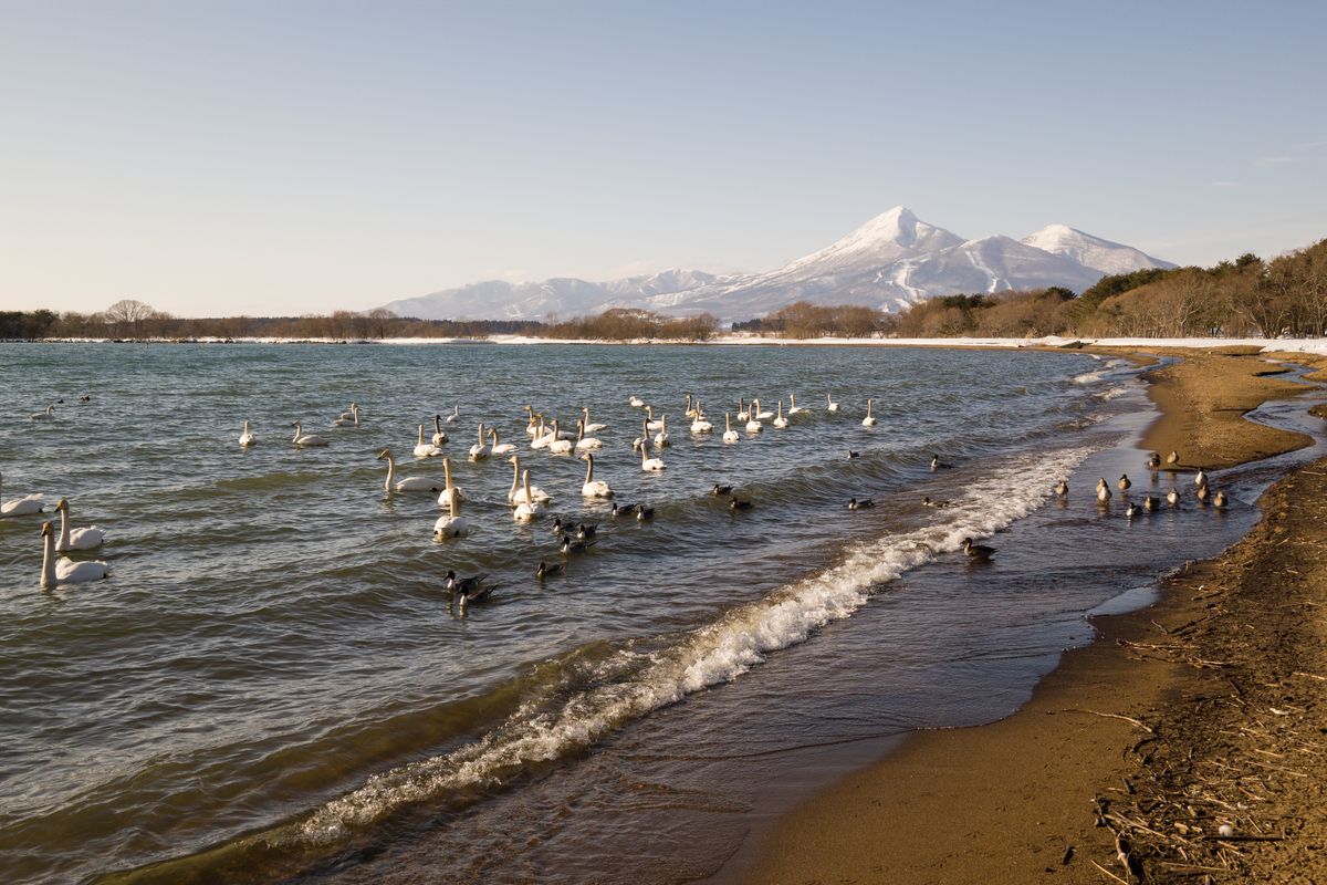 Hands-on Sigma BF review: the camera that beats Leica at its own game ...