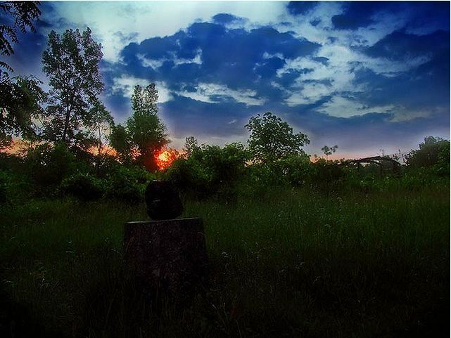 Image Gallery: Stunning Summer Solstice Photos | Live Science