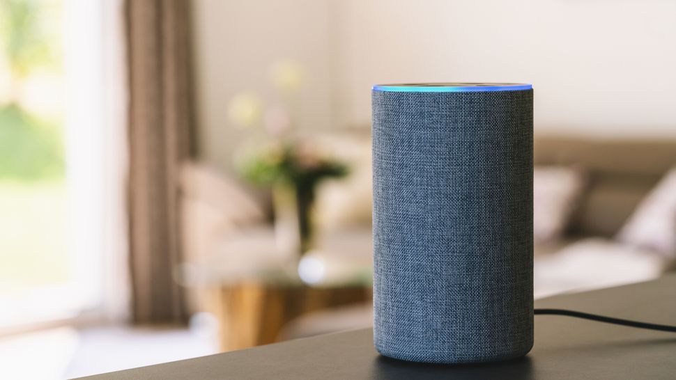 Amazon Echo (2019) vs Amazon Echo Dot (2019) | TechRadar