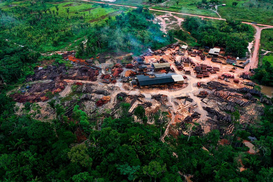 SeeBoundless Creates 3D Augmented RealityModel Of Amazon Rainforest ...