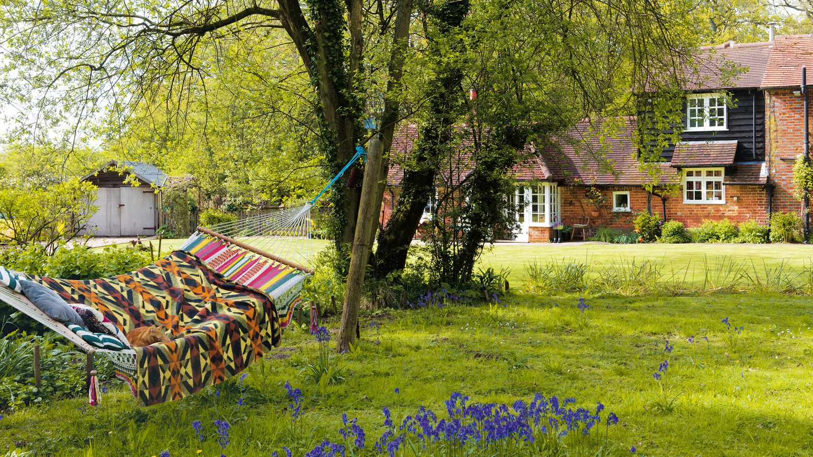 Real garden: an enchanting bluebell wood garden | Real Homes
