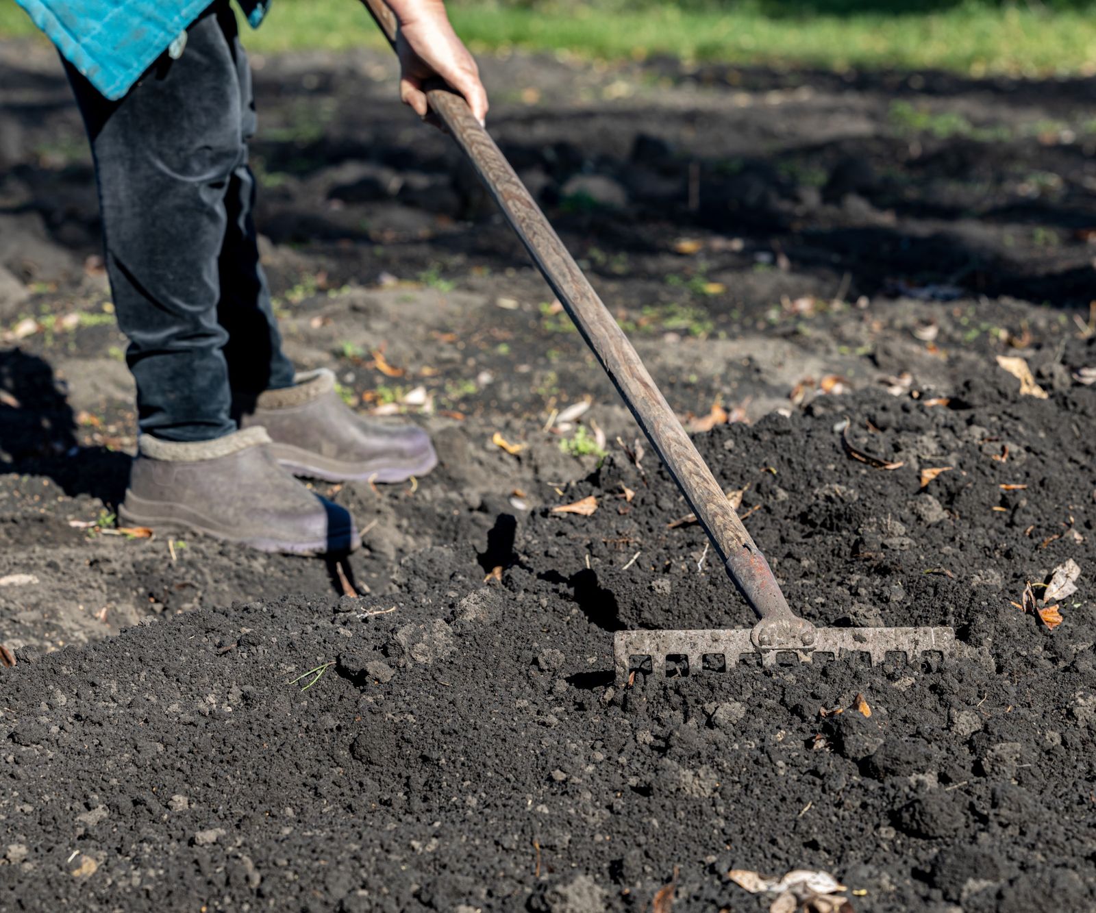 How to boost soil nutrients: 8 expert ways to do it | Homes and Gardens