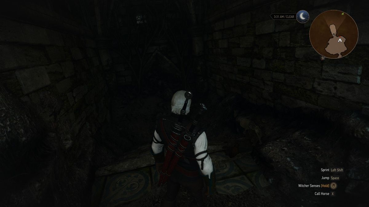 The Witcher 3 Feline armor: How to get all Cat School gear | PC Gamer
