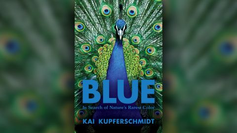 Why is the color blue so rare in nature? | Live Science