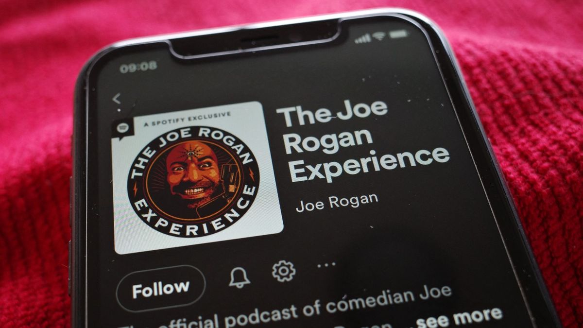 Fighting talk: how Joe Rogan became the world’s most famous podcaster ...