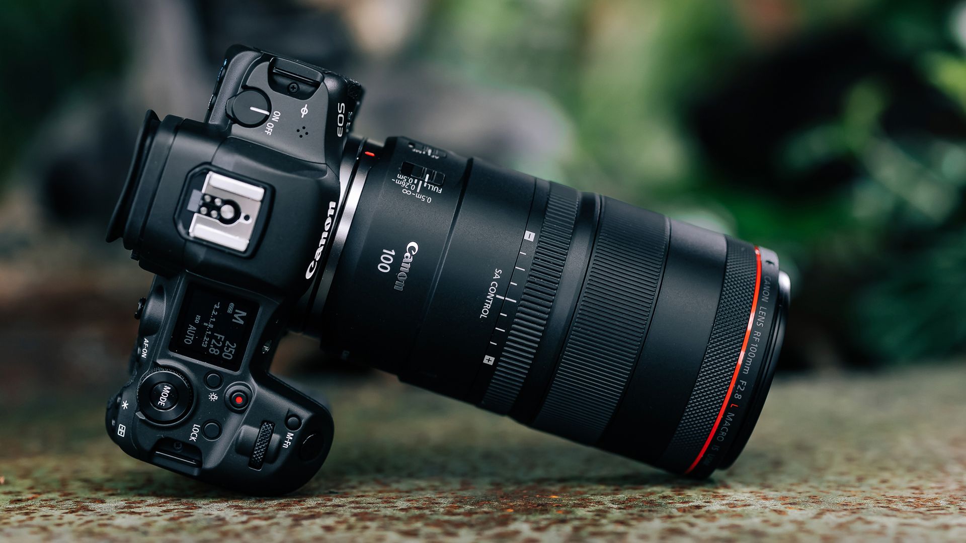 Canon is working on new smaller RF macro lenses, according to new ...