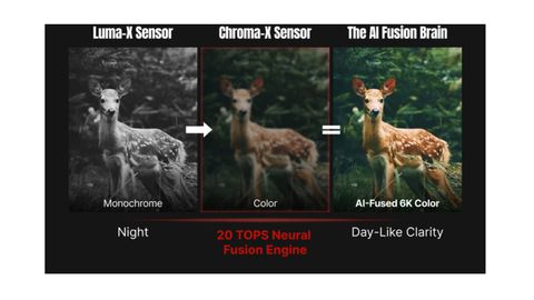 DVX debuts 4K AI-powered night-vision binoculars that can see things in ...