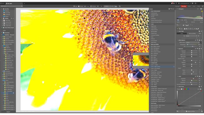 CorelDRAW Graphics Suite 2025 review: a challenger for the graphic ...