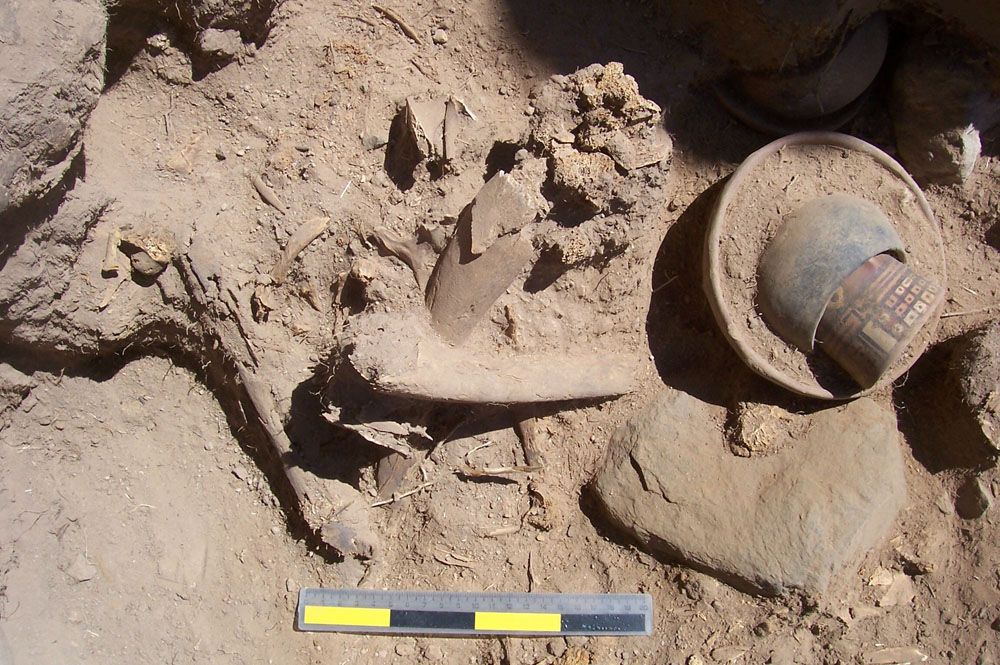 1,200 Year-Old site with Many Mummies found in Peru (Gallery) | Live ...