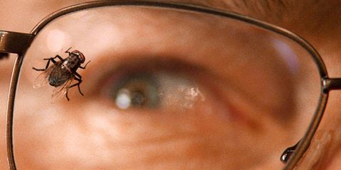 Breaking Bad: Why "Fly" Is A Masterpiece In The Popular Series ...