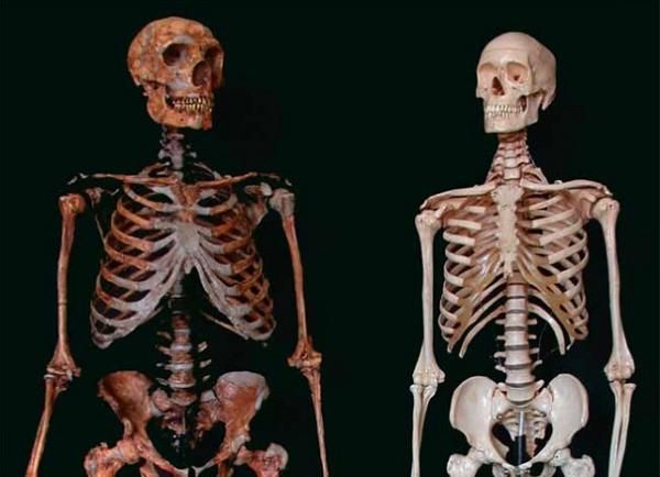 10 Modern Tools for Indiana Jones | Live Science