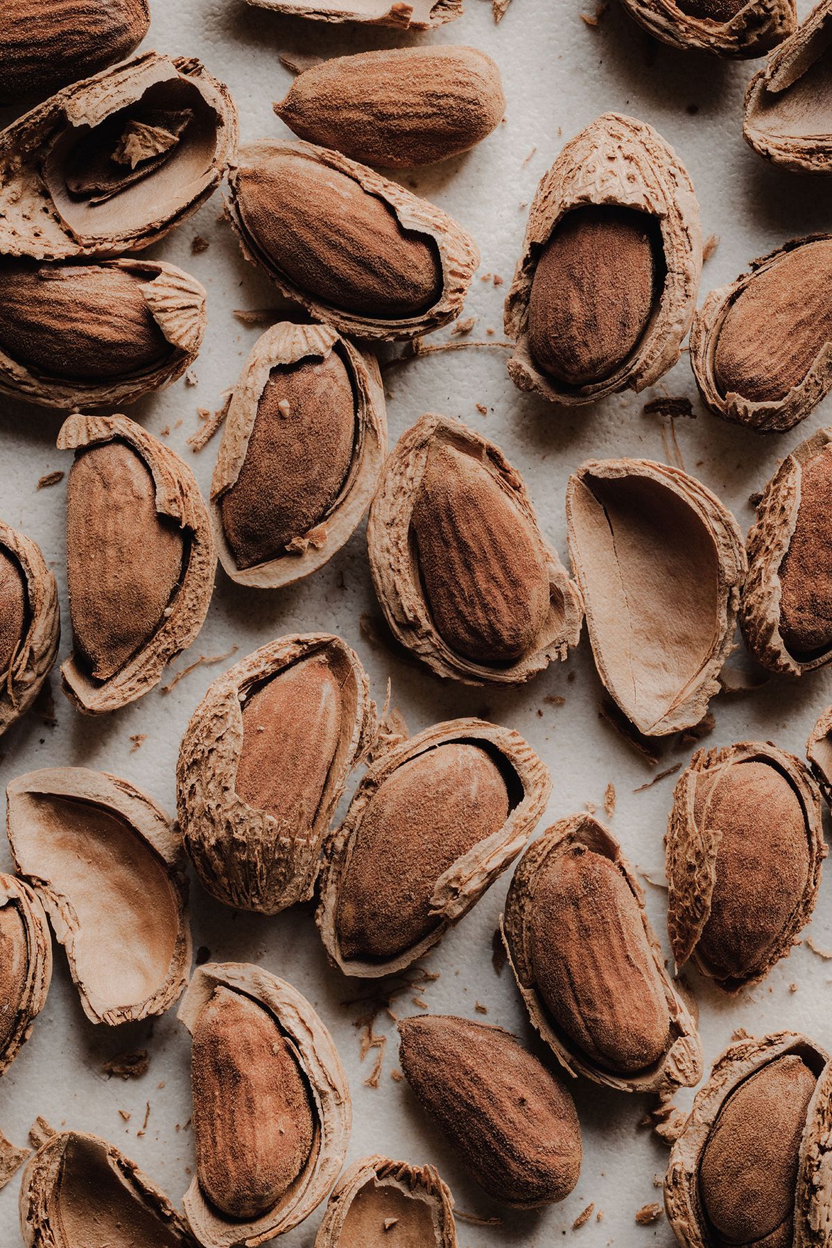 Bea Lubas whets our appetite for her talk on food photography at TPVS ...