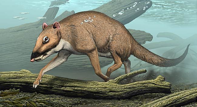 Image gallery: 25 amazing ancient beasts: Page 3 | Live Science