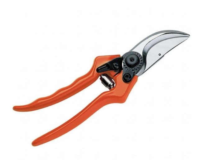 Best secateurs: top 6 buys for perfect pruning | Real Homes