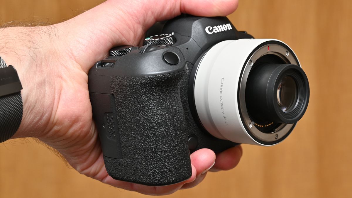 Canon Extender RF 2x review: double your telephoto reach and close-up ...