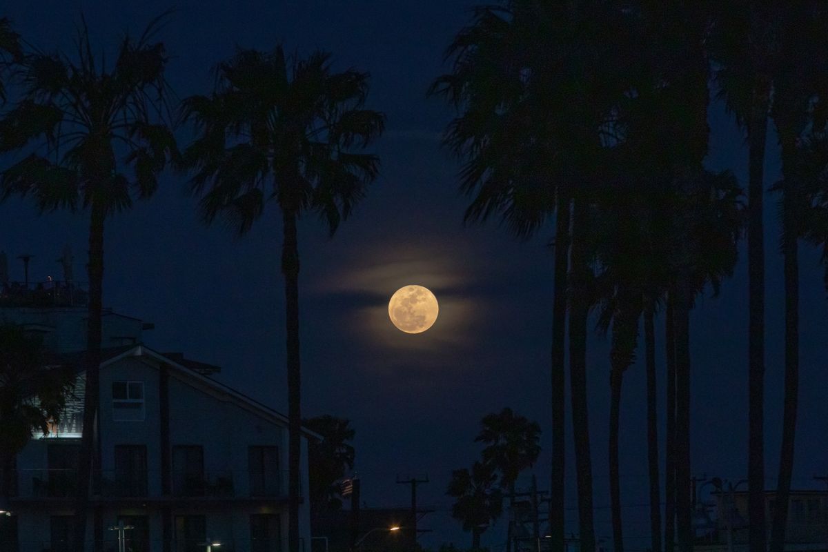 April full moon 2026 dazzles as 'Pink Moon' lights up skies worldwide ...