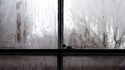 Damp: Your complete guide to causes, cures and prevention | Homebuilding