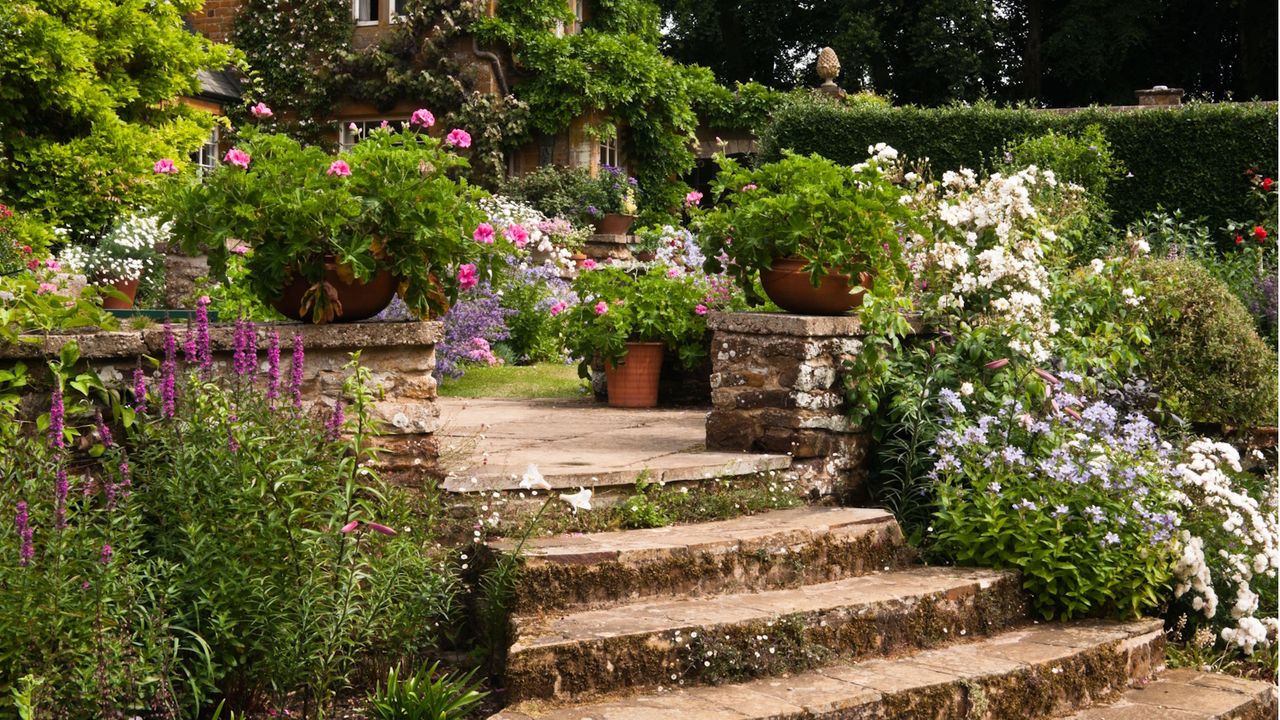 How to make your own succulent potting mix: an easy DIY | Homes and Gardens