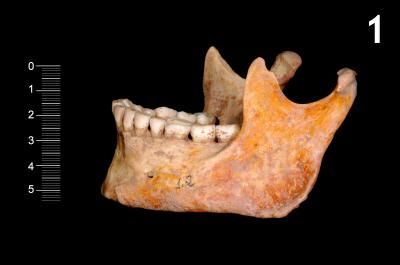 In Images: An Ancient European Hunter Gatherer | Live Science