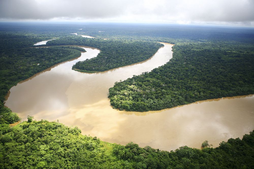 Photos: Huge Swath of Amazon Preserved in Record-Setting Deal | Live ...