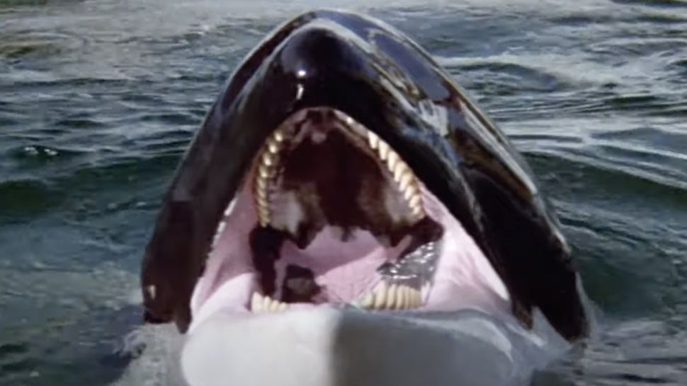 32 Scary Animal Movies That Aren't About Dinosaurs Or Sharks | Cinemablend