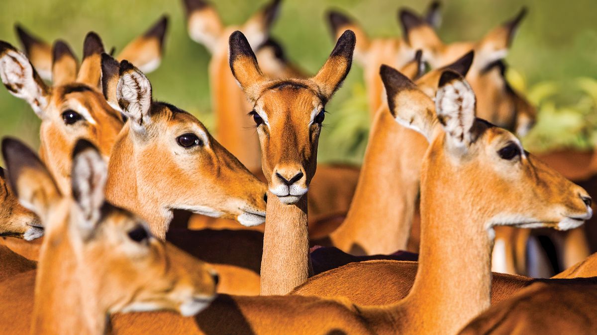 I had pressed the camera shutter at just the right time | Digital ...